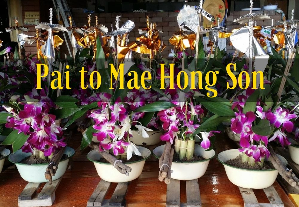 Pai to Mae Hong Son | Exploring Northern Thailand | Frequent Traveller